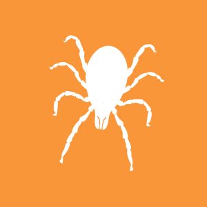 TickTOOL – Information about ticks in Canada